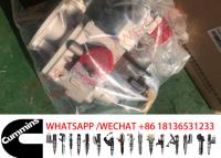 China 3075537 Diesel Engine Fuel Pump 3075537 k38 k50 3636943 for sale