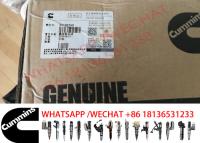 China 3417674X M11 Diesel Engine Fuel Pump 3090942 3417674X for sale