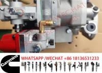 China Cummins Injection Pump 4951501 3262033 3045281 4951501 NTA855/N14 Engine for sale