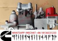 China Cummins Injection Pump 4951501 3262033 3045281 4951501 NTA855/N14 Engine for sale