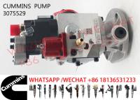 China 3075529 Kta38 Qsk38 Cummins Diesel Fuel Pump 4295858 3075664 3060945 3074835 for sale