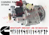 China Cummins KTA50-G3 3075834 Diesel Engine Fuel Pump for sale
