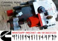China 3165399 Cummins NTA855 3165355 3165400 Diesel Engine Fuel Pump for sale