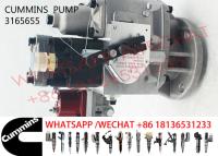 China 3165655 Diesel Injection Pump 3165401 4060993 3419494 3165437 3165457 for sale