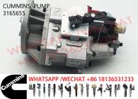 China 3165655 Diesel Injection Pump 3165401 4060993 3419494 3165437 3165457 for sale