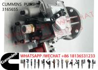 China 3165655 Diesel Injection Pump 3165401 4060993 3419494 3165437 3165457 for sale