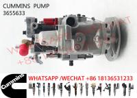 China Common Rail 3655633 KTA19-M3 Diesel Engine Fuel Pump for sale