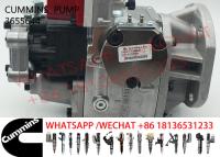 China 3655644 NT855 Common Rail Fuel Pump 3655642 4915427 3655758 4061218 4915427 for sale