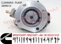 China 3899014 KTA19 Cummins Injection Pump 3655996 3060949 3419468 for sale