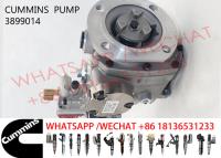 China 3899014 KTA19 Cummins Injection Pump 3655996 3060949 3419468 for sale