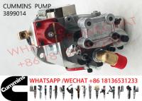 China 3899014 KTA19 Cummins Injection Pump 3655996 3060949 3419468 for sale