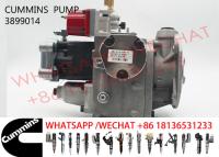 China 3899014 KTA19 Cummins Injection Pump 3655996 3060949 3419468 for sale