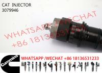 China Diesel Engine Fuel Injector 3079946 3079947 3087587 3087648 For Cummins NT855 NTA855 Engine for sale