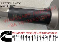 China Common Rail Diesel Fuel QSK19 QSK38 Injector 2867147 2867146 2882077 for sale