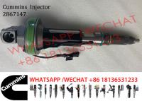 China Common Rail Diesel Fuel QSK19 QSK38 Injector 2867147 2867146 2882077 for sale