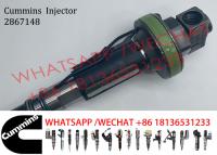 China Diesel Engine Fuel Injector 2867148 2867147 2882078 For Cummins QSK19 QSK60 Engine for sale