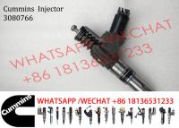 China CUMMINS Diesel Fuel Injector 3080766 3070118 3070113 3070155 Injection N14 Engine for sale