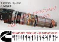 China Common Rail Diesel Fuel QSX15 ISX15 X15 Injector 4928260 4088725 4903455 4928264 for sale