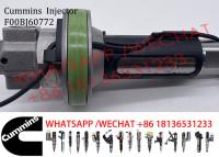 China Diesel Engine Fuel Injector F00BJ60772 For Cummins QSK19 Engine for sale