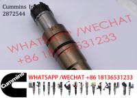 China Diesel Engine Fuel Injector 2872544 2872289 4955080 For Cummins QSZ13 QSZ13 Engine for sale