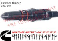 China Common Rail Diesel Fuel M11 ISM11 QSM11 Injector 3087648 3406604 3064881 for sale