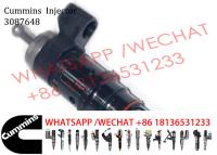 China Common Rail Diesel Fuel M11 ISM11 QSM11 Injector 3087648 3406604 3064881 for sale