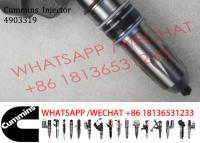 China 4903319 4062851 3411845 Diesel Engine Fuel Injector For Cummins M11 ISM11 QSM11 for sale