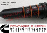 China Diesel QSM11 M11 Common Rail Fuel Pencil Injector 3406604 3411756 4911458 4061851 for sale