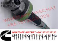 China QSK19 Common Rail Fuel Injector Y431K05248 Y431K05417 for sale