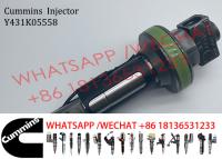 China Diesel Common Rail Fuel QSK19 Pencil Injector Y431K05558 Y431K05417 4964171 for sale