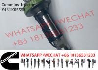 China Diesel Common Rail Fuel QSK19 Pencil Injector Y431K05558 Y431K05417 4964171 for sale