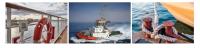 China Y-MAX PLUS UHMWPE/Polyester Marine Mooring Rope - 12-Strand Construction, 220m Length, 4-5% Elongation for sale