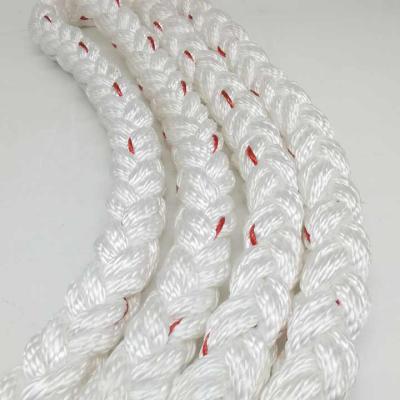 China 64mm 8 Strand Polypropylene Multifilament Marine Mooring Rope 220m Coil for Shipowner for sale