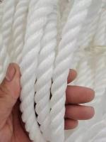China 64mm 8 Strand Polypropylene Multifilament Marine Mooring Rope 220m Coil for Shipowner for sale