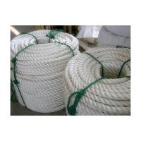 China Customized 8 or 12 Strand Anti-aging Nylon Rope for Deep-sea Aquaculture Marine 12mm for sale