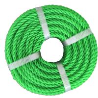 China 3 Strand Twisted Polyethylene Rope 10mm 12mm 14mm 220m Fishing Marine PE Boat Rope for sale