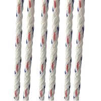 China 100% Virgin PE Twisted 3 Strand Rope 4mm to 56mm Diameter for Fishing and Marine for sale