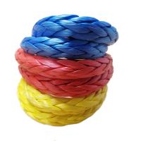 China 8 or 12 Strand UHMWPE PP Danline Floating Mooring Rope for Ship Marine 220m for sale