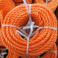 China 3 or 4 Strand Twisted Polypropylene Mooring Rope 100m 200m Custom Length PP Rope for sale
