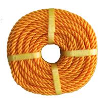 China 6mm Polyethylene 3 Strand Twisted Nylon Rope for Boat Anchor Mooring Marine Grade 220m Coil for sale