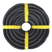 China 6mm Polyethylene 3 Strand Twisted Nylon Rope for Boat Anchor Mooring Marine Grade 220m Coil for sale