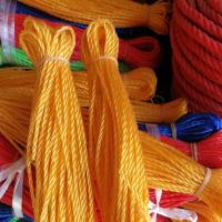 China 220m 3 Strand Twisted Danline 6mm Polypropylene Polysteel Rope for sale