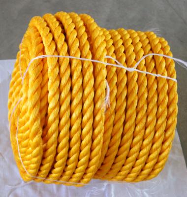 China Polyethylene PP Danline Rope 3 Strands Twisted Plastic Nylon Fishing Packing Rope Marine Commercial Use 4mm to 56mm for sale