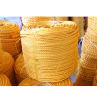 China Polyethylene PP Danline Rope 3 Strands Twisted Plastic Nylon Fishing Packing Rope Marine Commercial Use 4mm to 56mm for sale