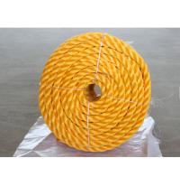 China Polyethylene PP Danline Rope 3 Strands Twisted Plastic Nylon Fishing Packing Rope Marine Commercial Use 4mm to 56mm for sale