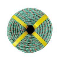China 3 Strands Twisted PP Polypropylene Rope 6mm 100m for Fishing Net and Packaging for sale
