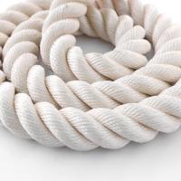 China Polyamide Nylon 3 Strand Twist Rope for Boats Ships 10mm Marine Mooring Line for sale