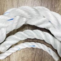 China CCS 8 Strand Mooring Rope 10mm-60mm PP PE Polypropylene Danline Polyester Nylon for Ship Packaging for sale