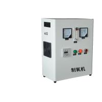 China 10 Liter PSA Portable Oxygen Generator Machine 30Nm3/H for sale