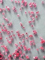 China Red Nylon  Plastic Blasting Media 0.3*0.3mm Bead Blast Plastic for sale